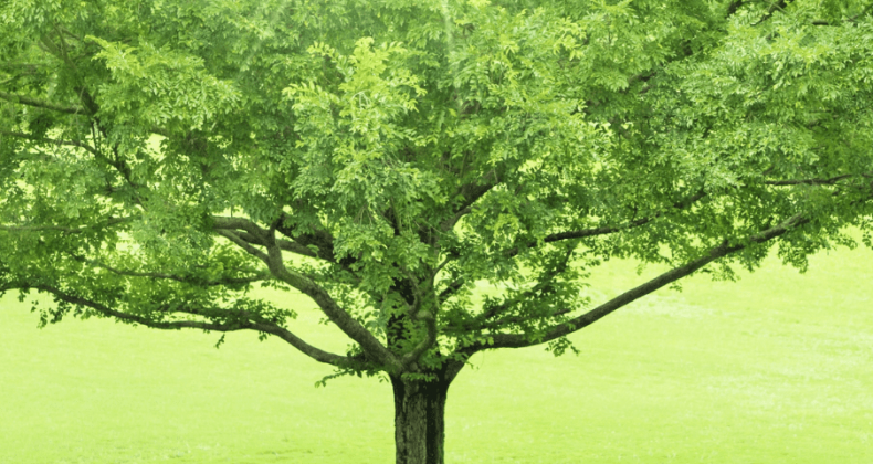 企業理念 – Radianceware