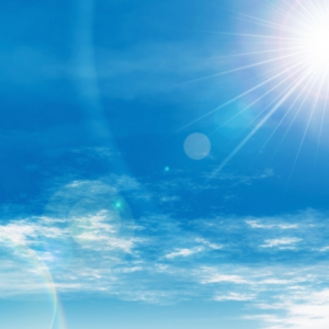 3Bees – Radianceware